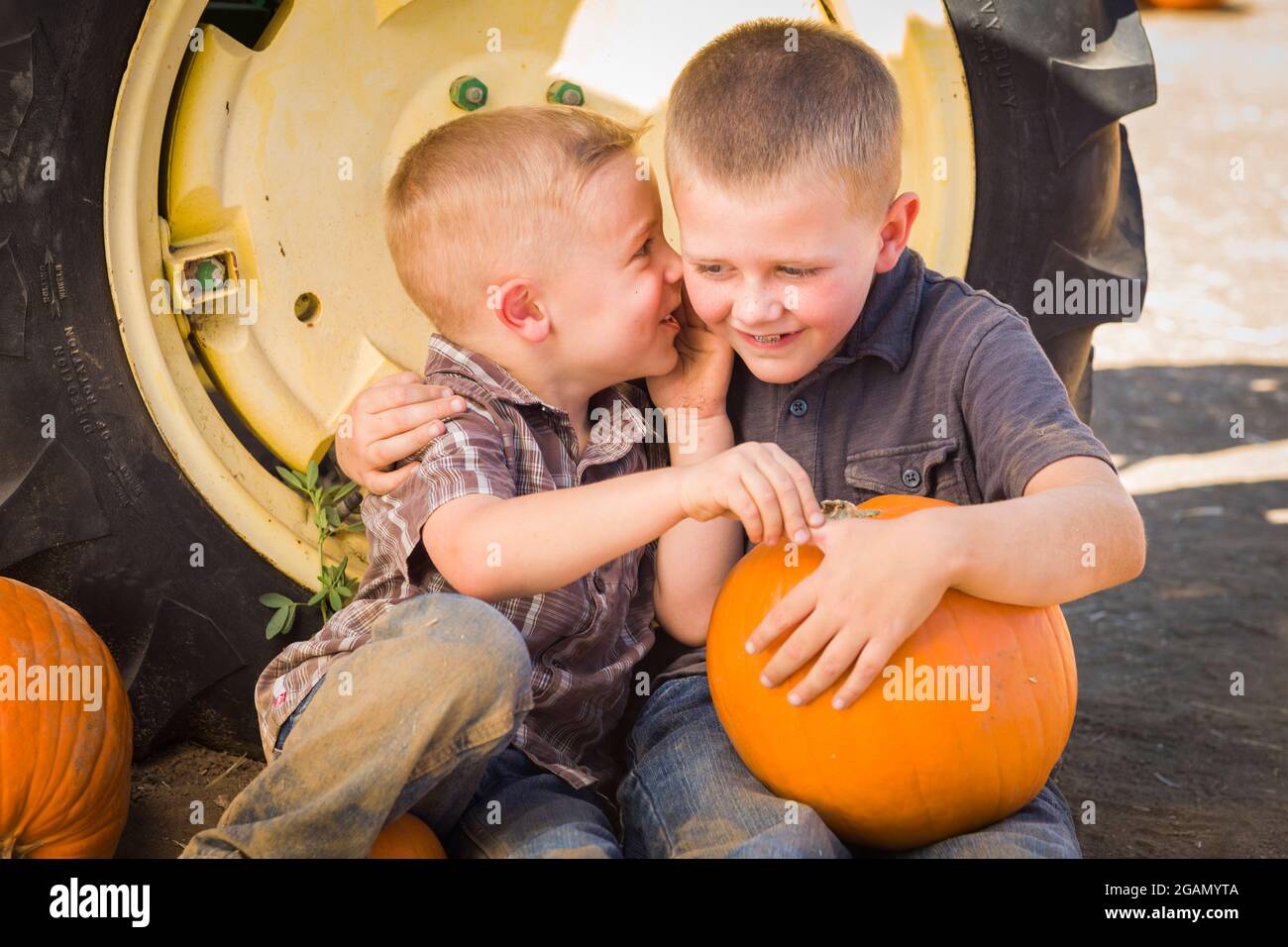 Two Boys Having Fun at the Pumpkin Patch on a Fall Day Stock Photo - Alamy