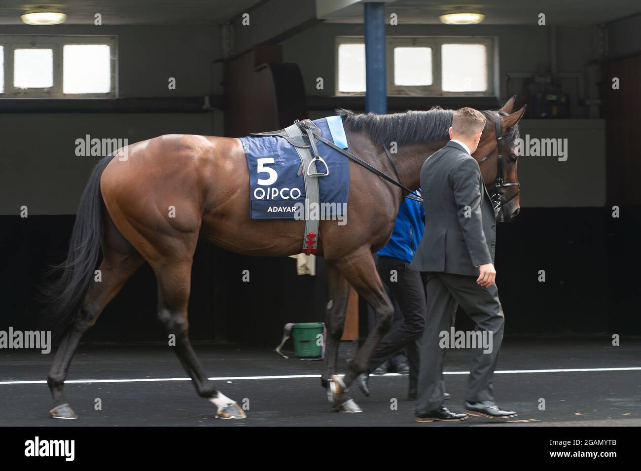 Ascot, Berkshire, UK. 24th July, 2021. Horse Adayar in the Pre Parade ...