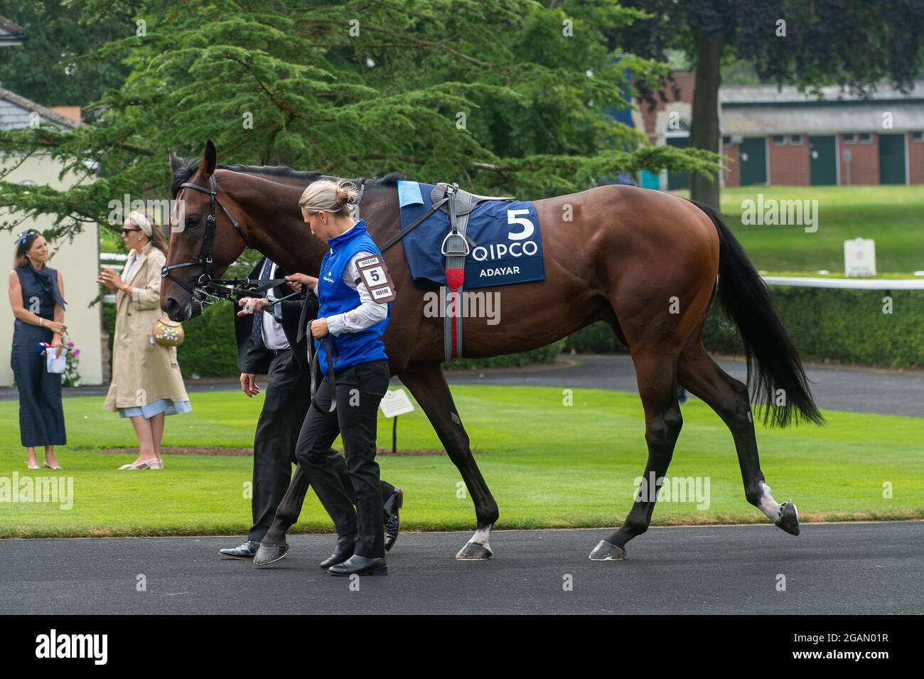 Ascot, Berkshire, UK. 24th July, 2021. Horse Adayar in the Pre Parade ...