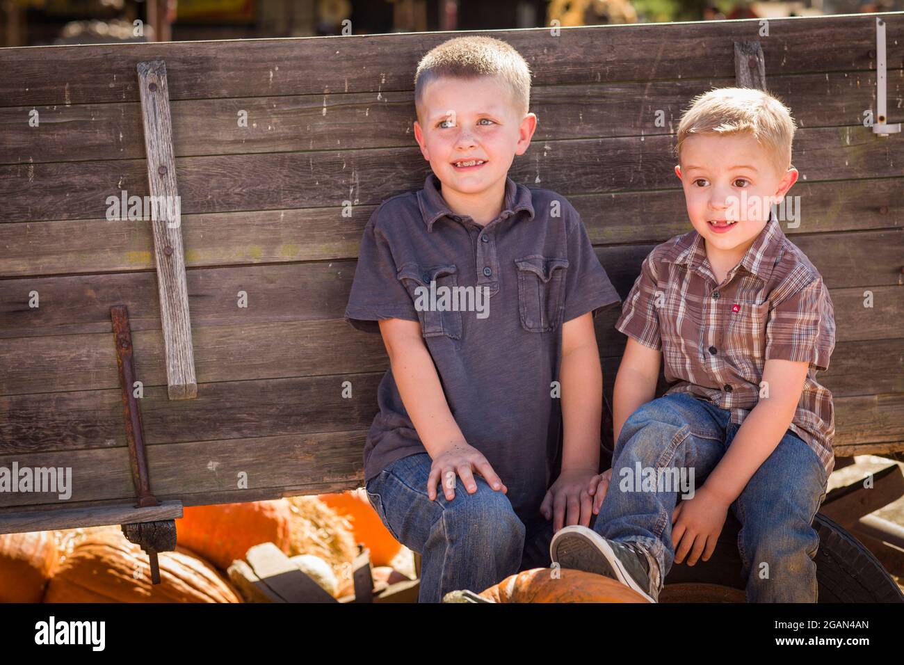 Two Boys Having Fun at the Pumpkin Patch on a Fall Day Stock Photo - Alamy