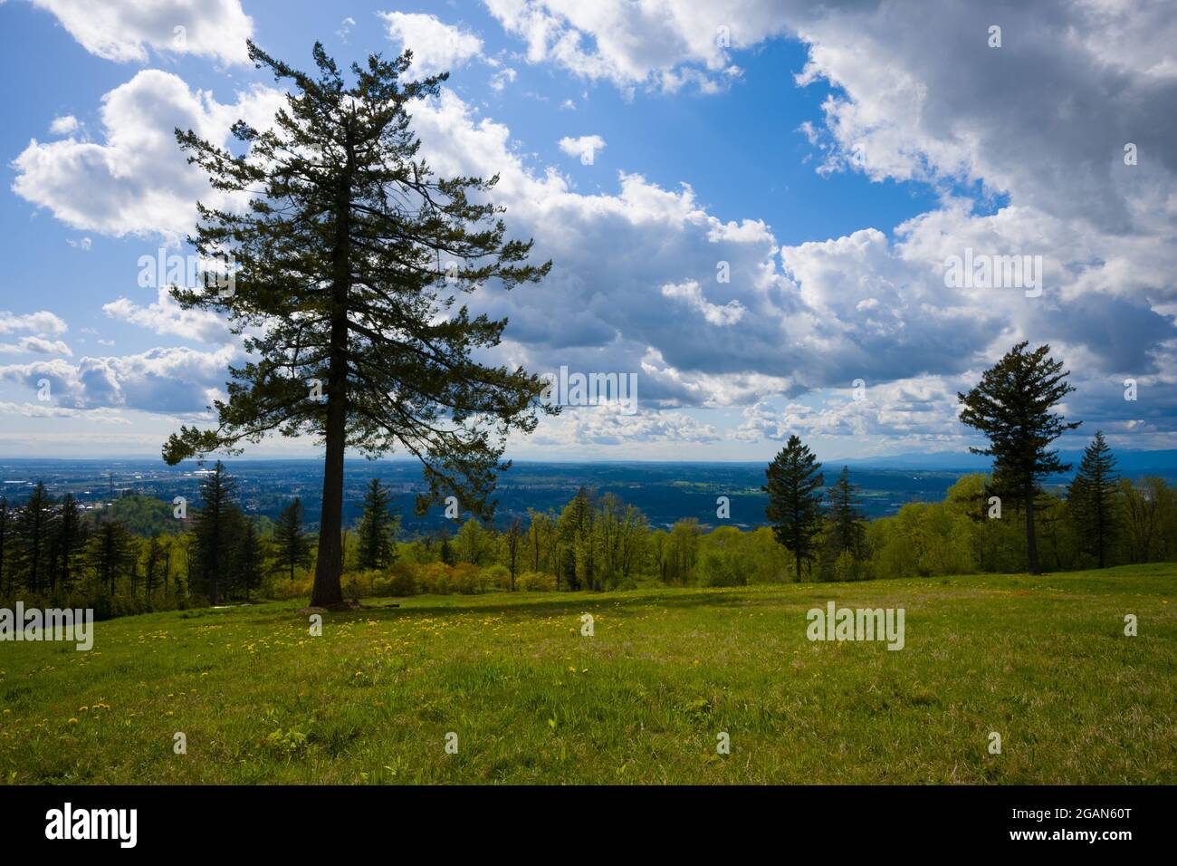 Ledgeview mountain hi-res stock photography and images - Alamy
