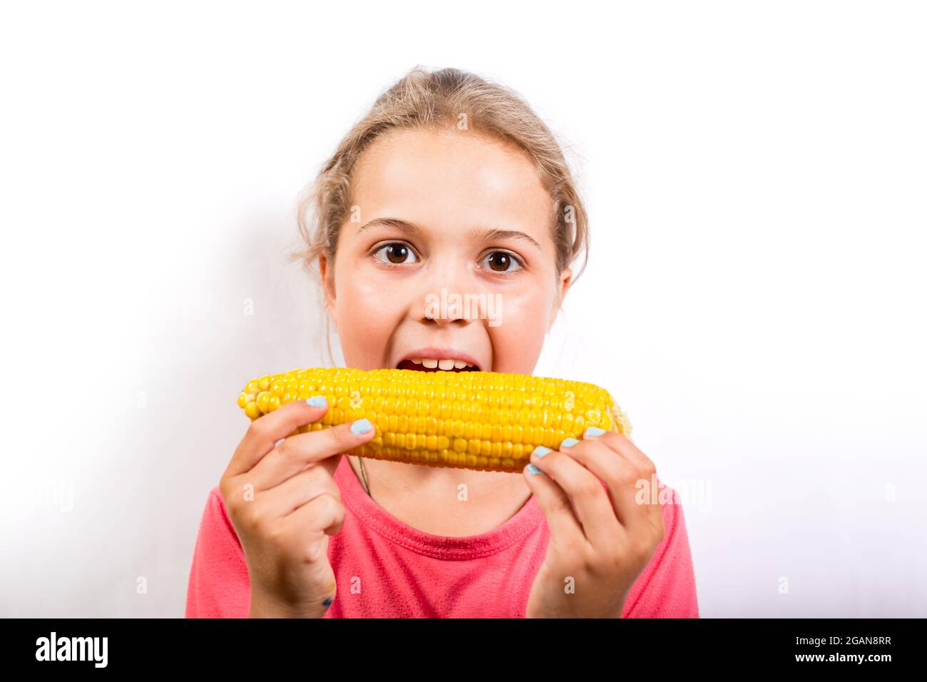 Little girl with hungry look bitting sweet corn, closew up on a white ...