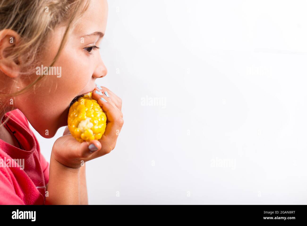 Hungry girl eating sweet corn on a white background with copy space ...