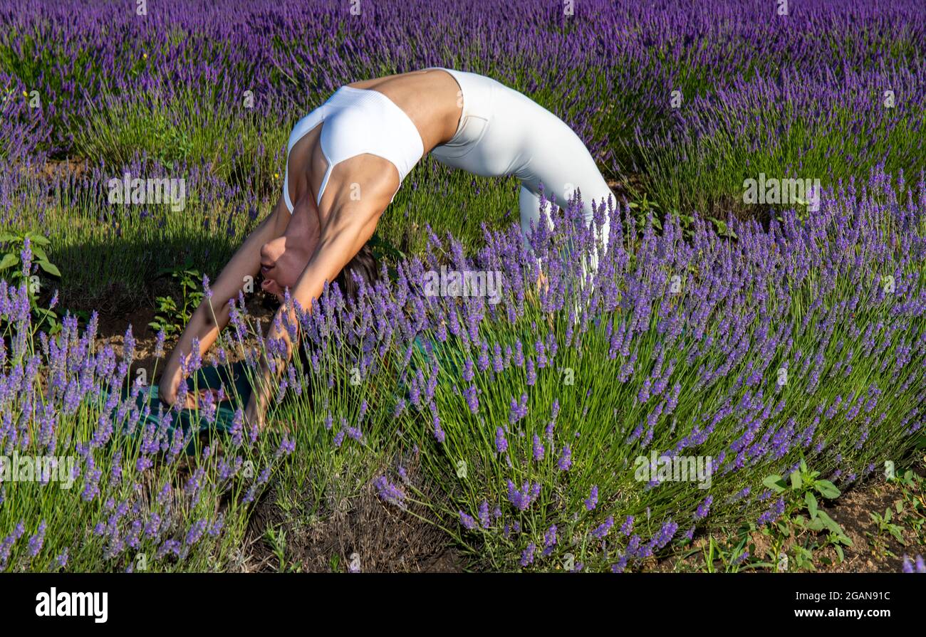 Yoga flowers hi-res stock photography and images - Alamy