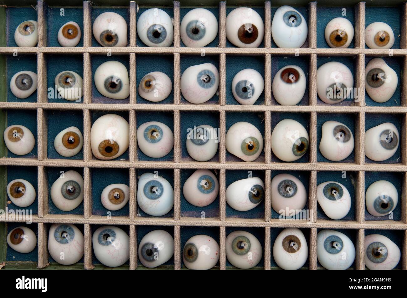 Collection of artificial eyes displayed in a divided box, showcasing ...