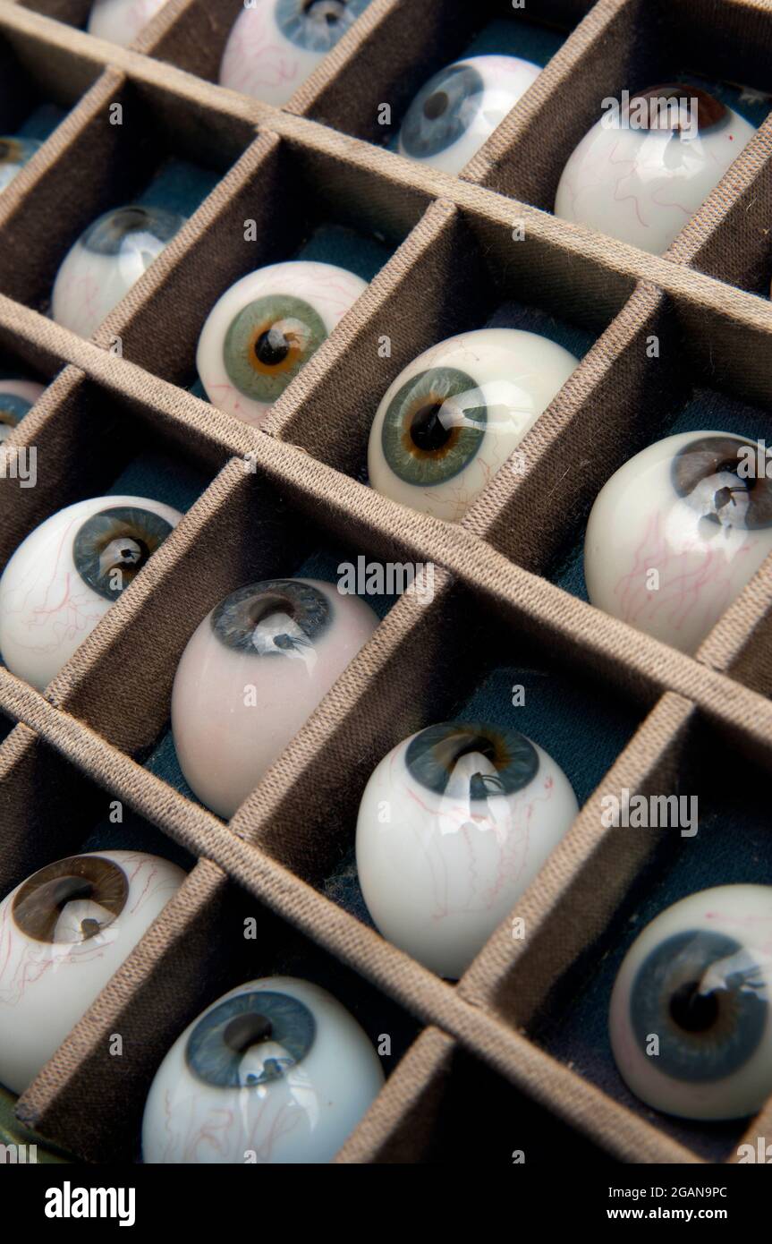 Collection of artificial eyes displayed in a divided box, showcasing ...