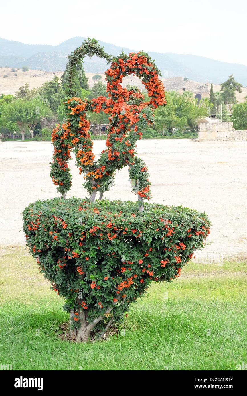 Single tree in Turkish park Stock Photo - Alamy