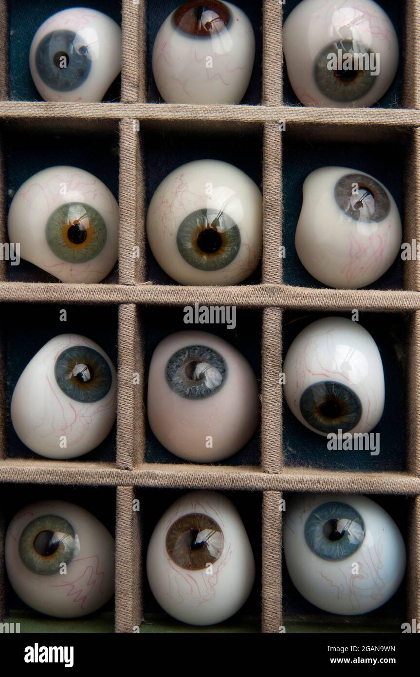 Ocular anatomy hi-res stock photography and images - Alamy