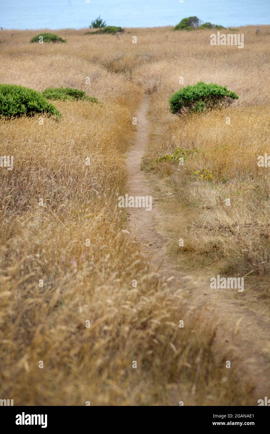 Field pathway hi-res stock photography and images - Alamy