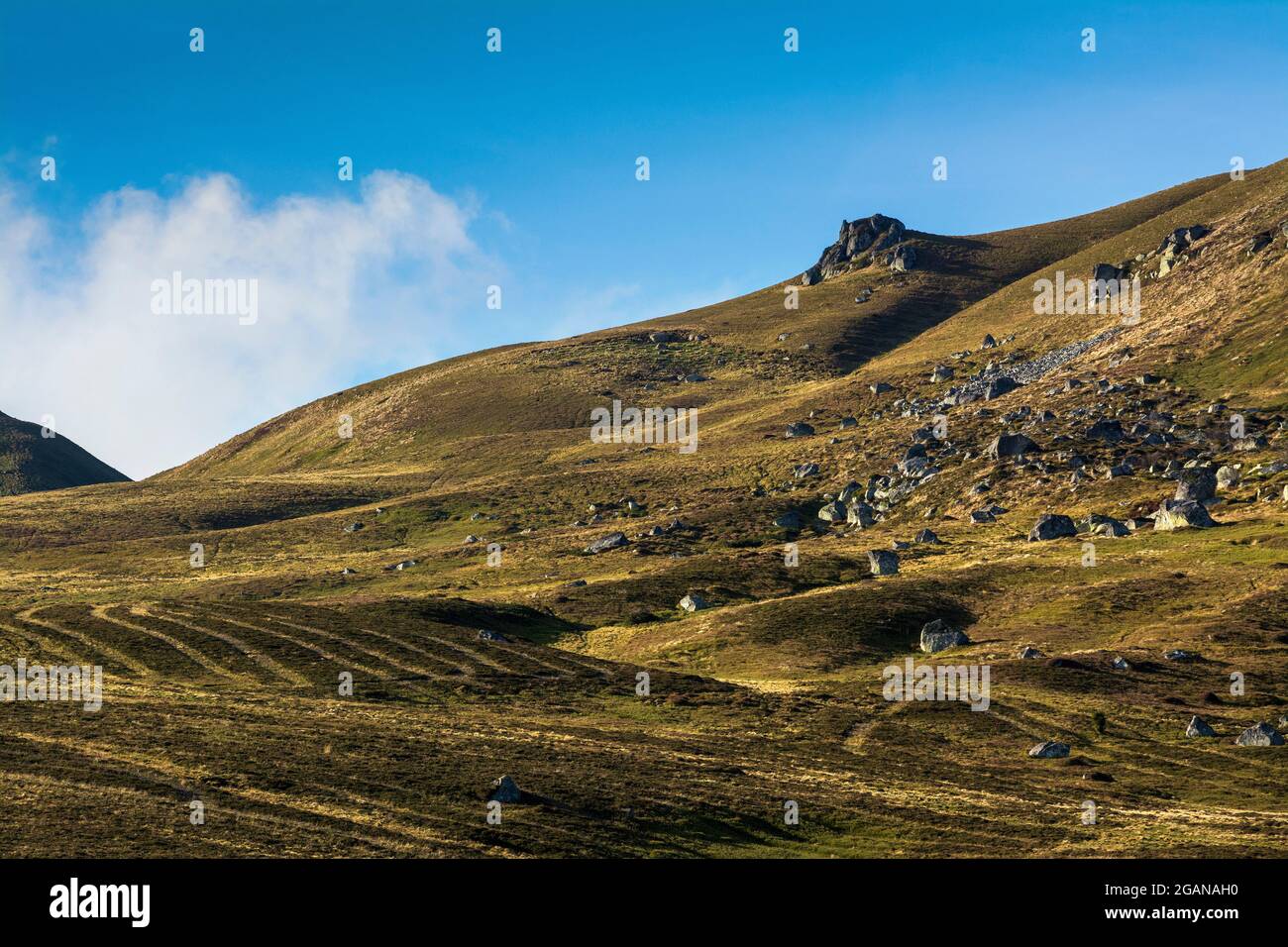 Dry mountain, Regional Nature Park of Volcans d'Auvergne, Puy de Dome ...