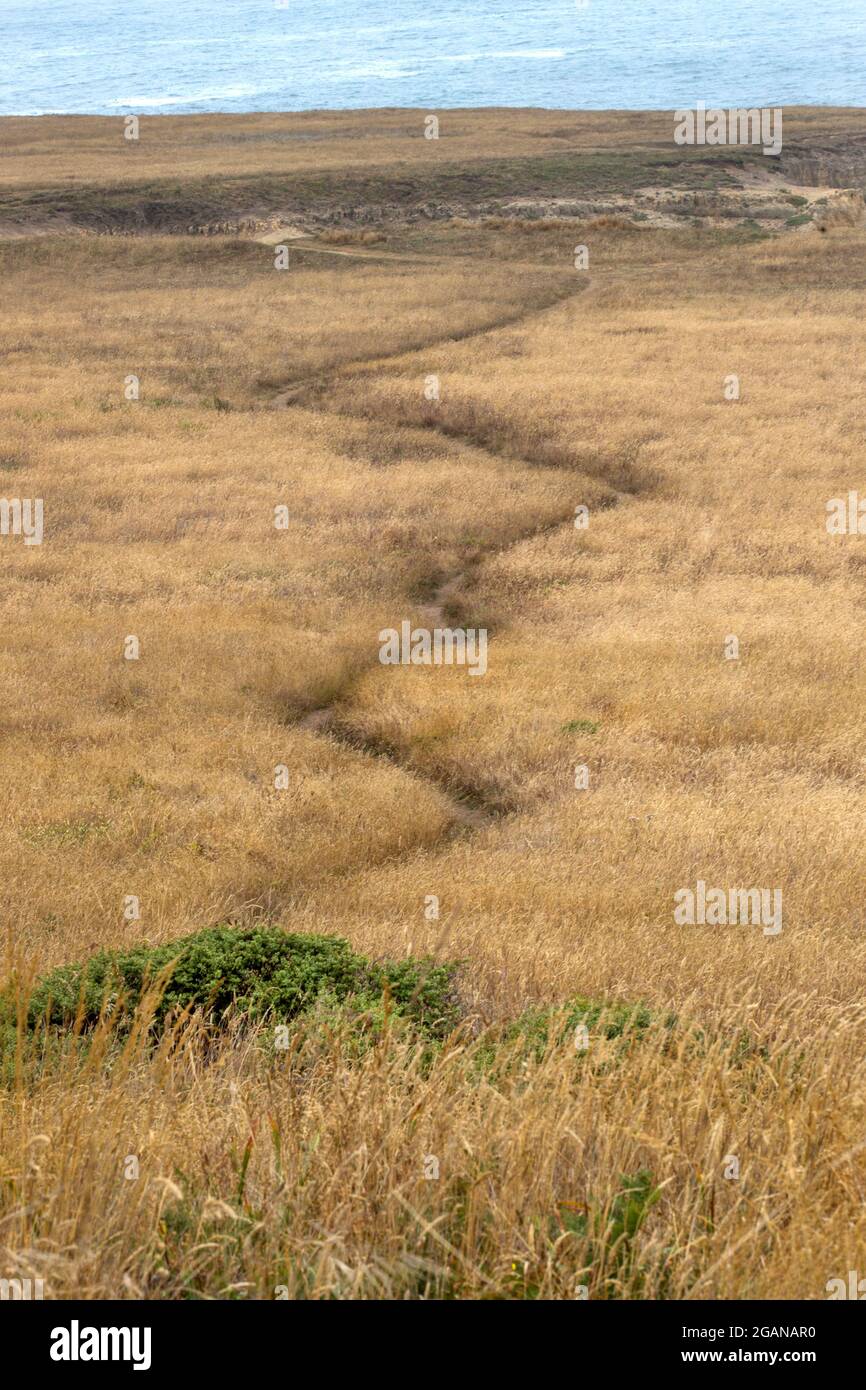 Field pathway hi-res stock photography and images - Alamy