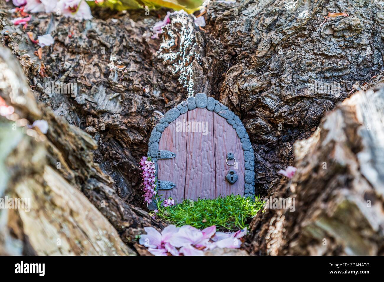 Little fairy tale door made from clay in cherry tree trunk Stock Photo ...