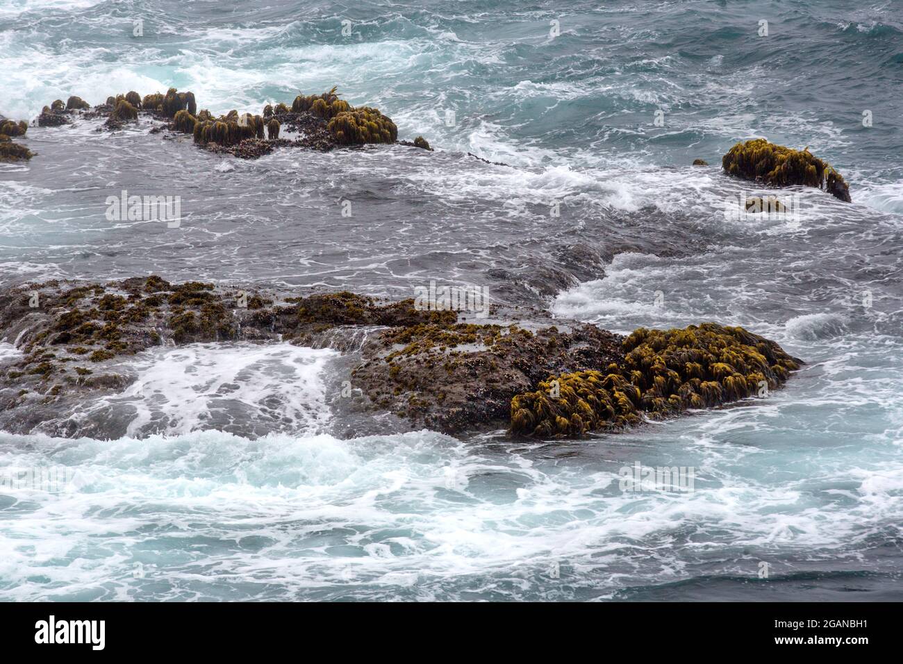 View of Pacific Ocean on the California coast in Mendocino, United ...