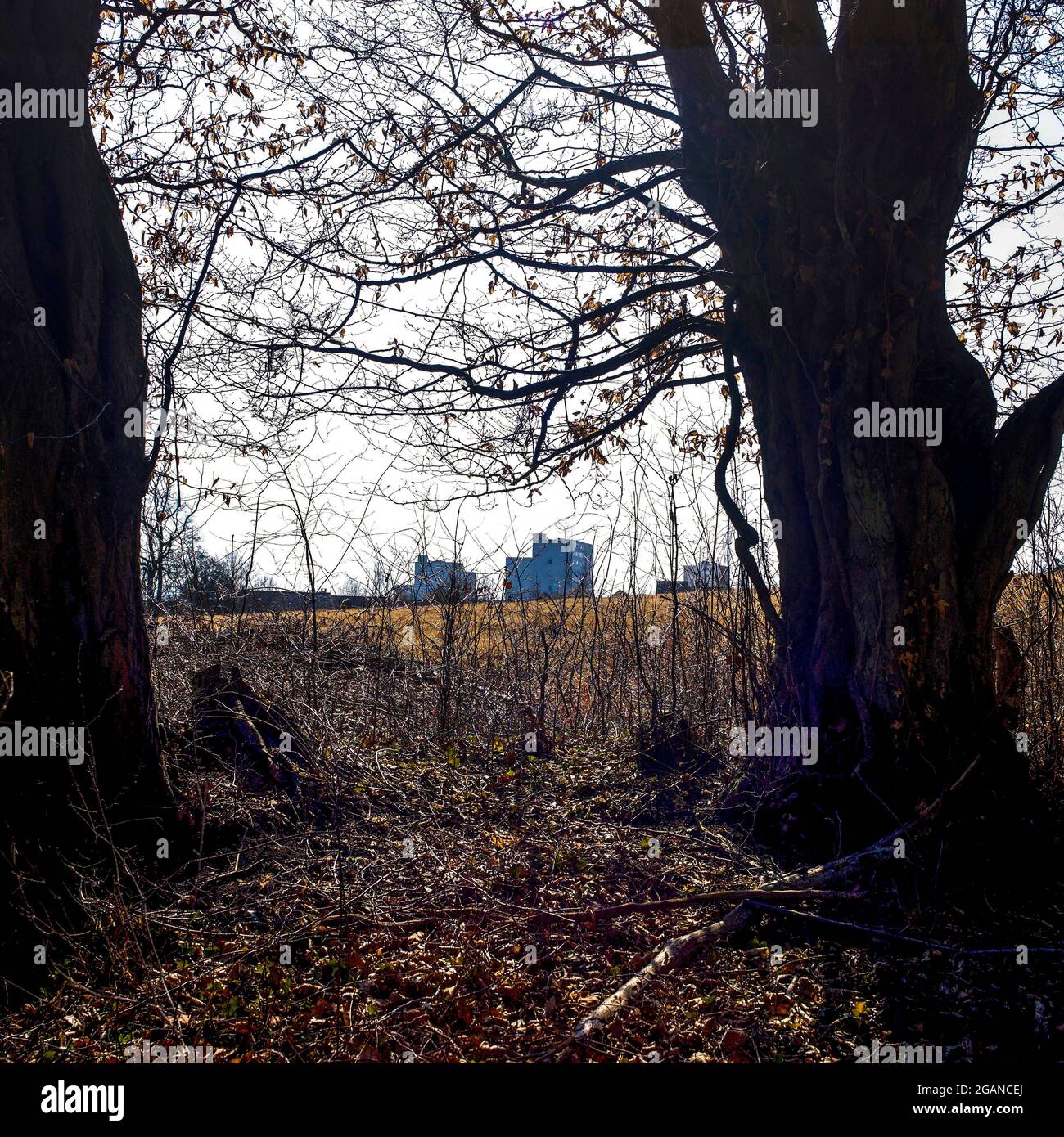 Isolated structure hi-res stock photography and images - Alamy