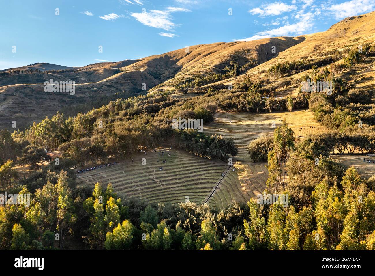 Incan terraces at Bosque Dorado near Huancayo, Peru Stock Photo - Alamy