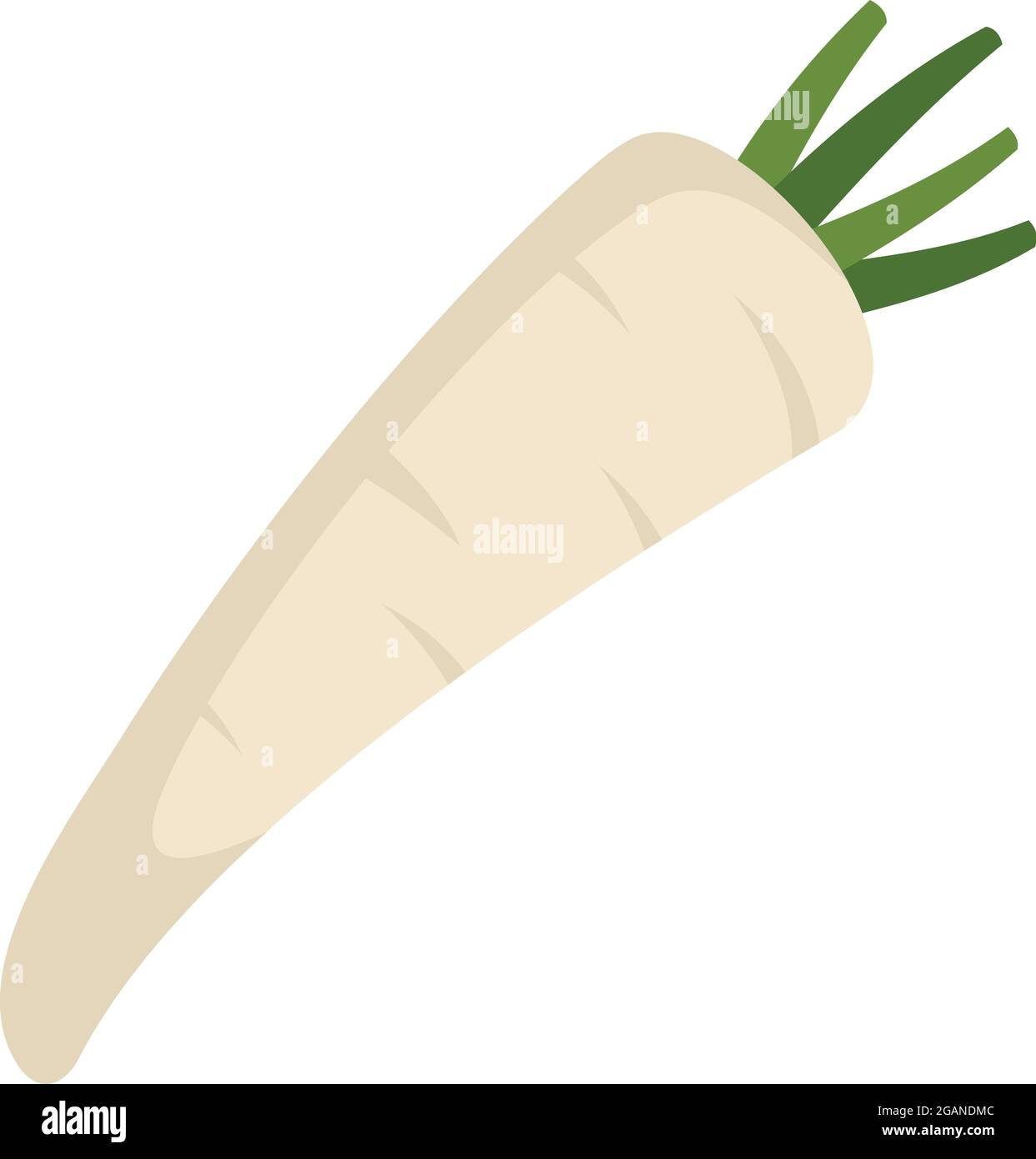Ingredient parsnip icon. Flat illustration of ingredient parsnip vector ...