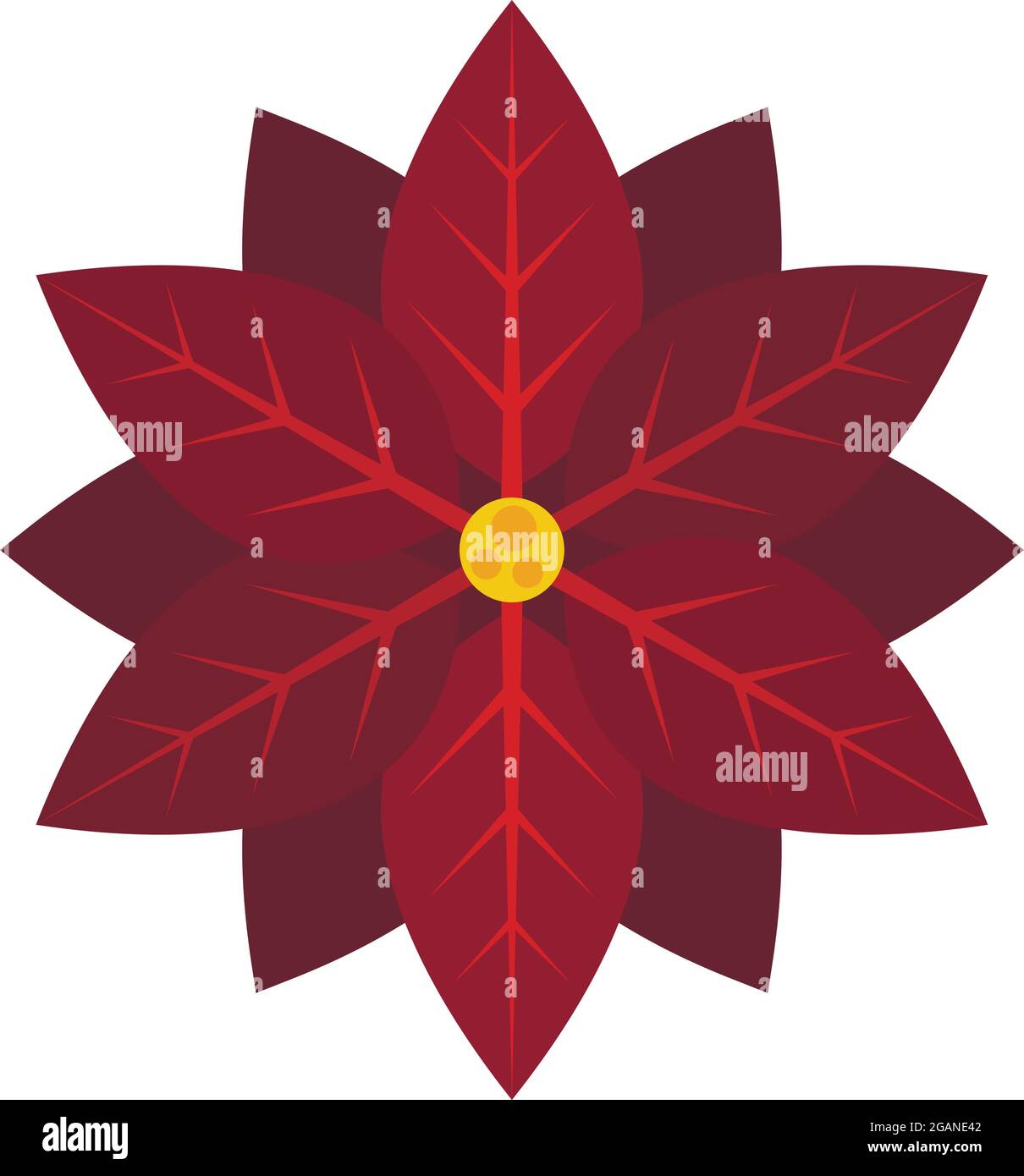 Poinsettia icon. Flat illustration of poinsettia vector icon isolated ...