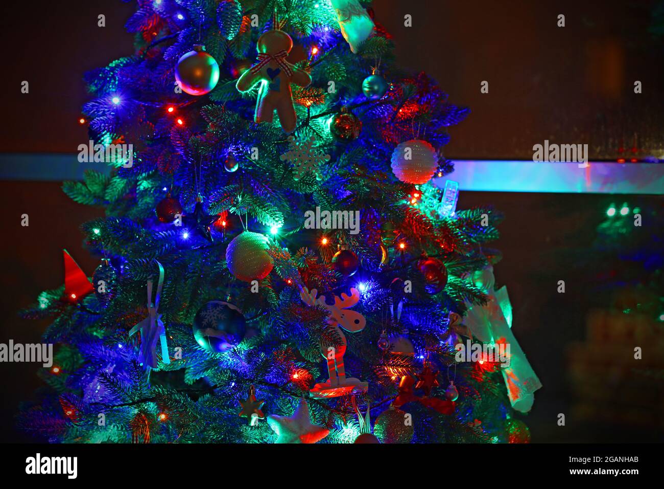 Christmas tree on window background Stock Photo - Alamy