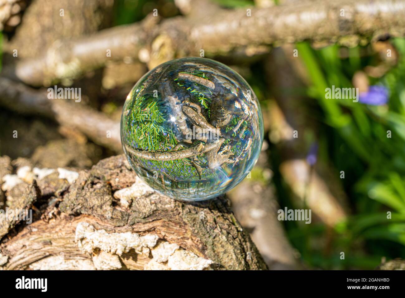 The vision inverted image hi-res stock photography and images - Alamy