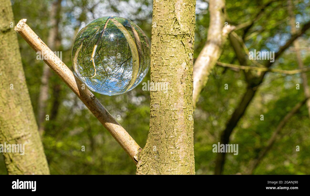 The vision inverted image hi-res stock photography and images - Alamy