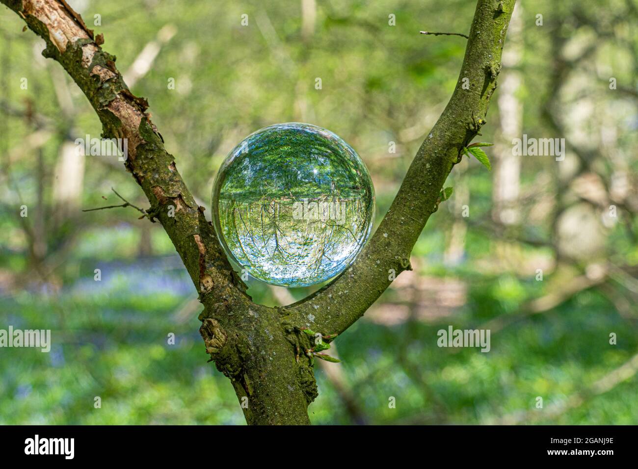 The vision inverted image hi-res stock photography and images - Alamy