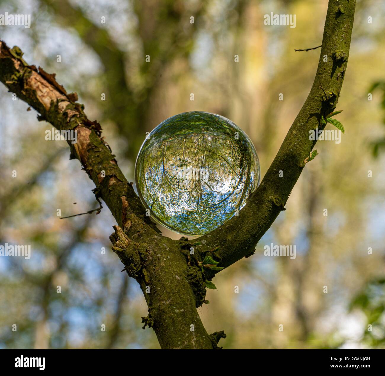 Blurry magnifying glass hi-res stock photography and images - Alamy