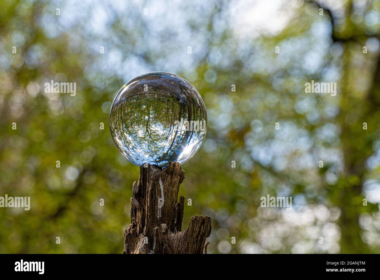 The vision inverted image hi-res stock photography and images - Alamy