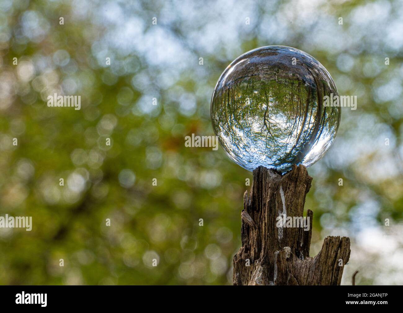 The vision inverted image hi-res stock photography and images - Alamy