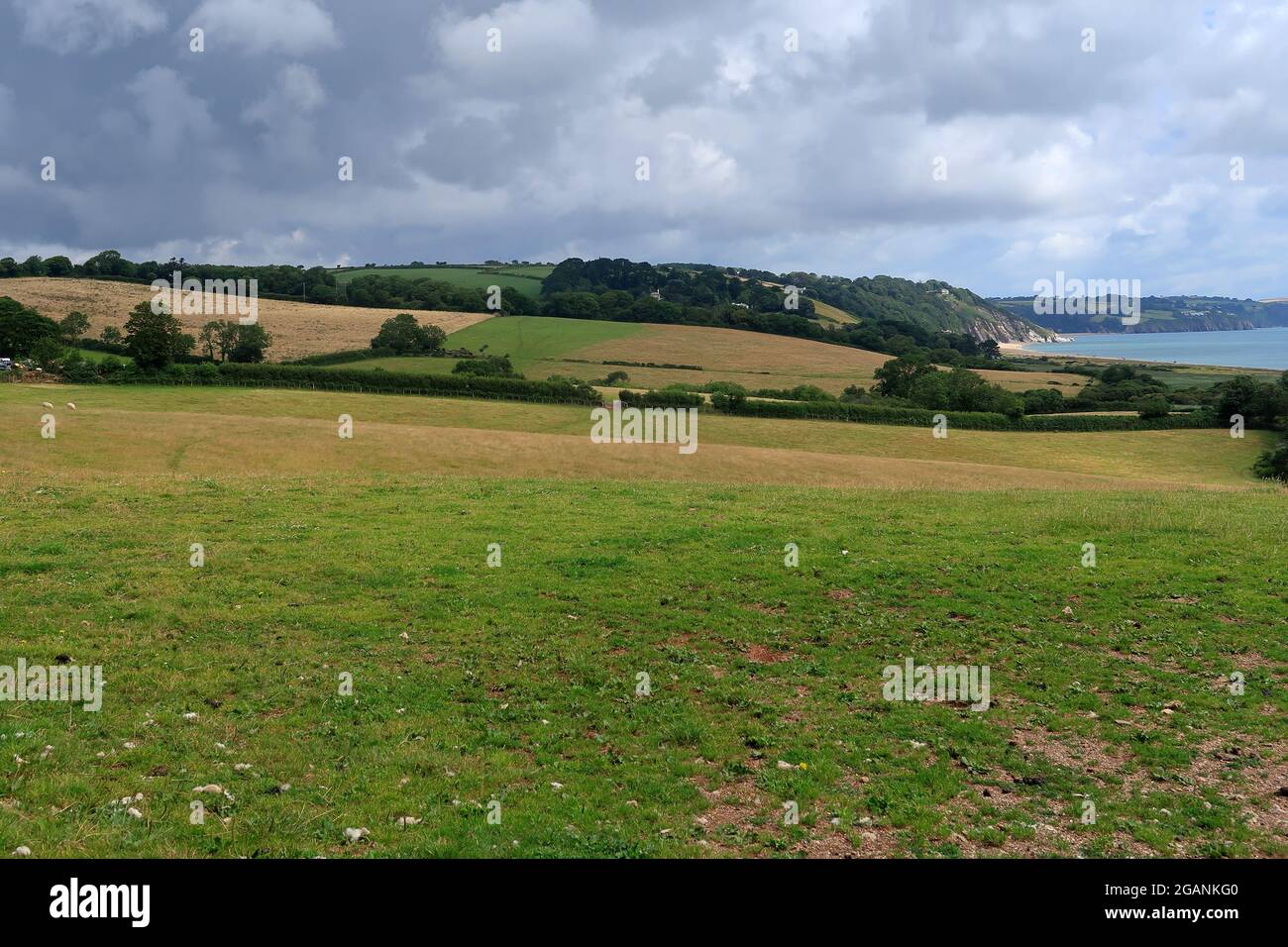 wide open fields and meadows around Slapton in South Devon Stock Photo ...