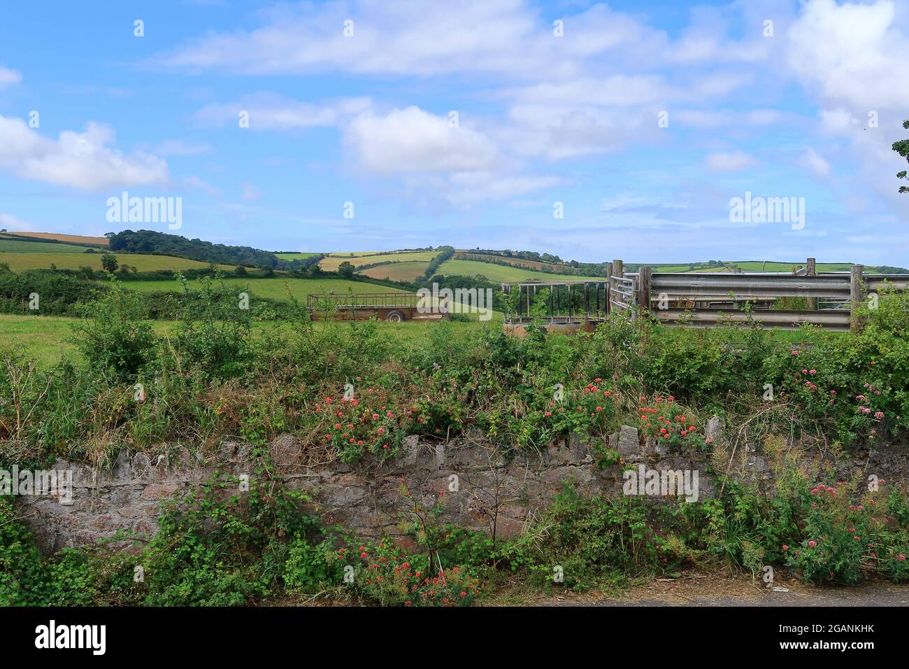 Devon meadows hi-res stock photography and images - Alamy