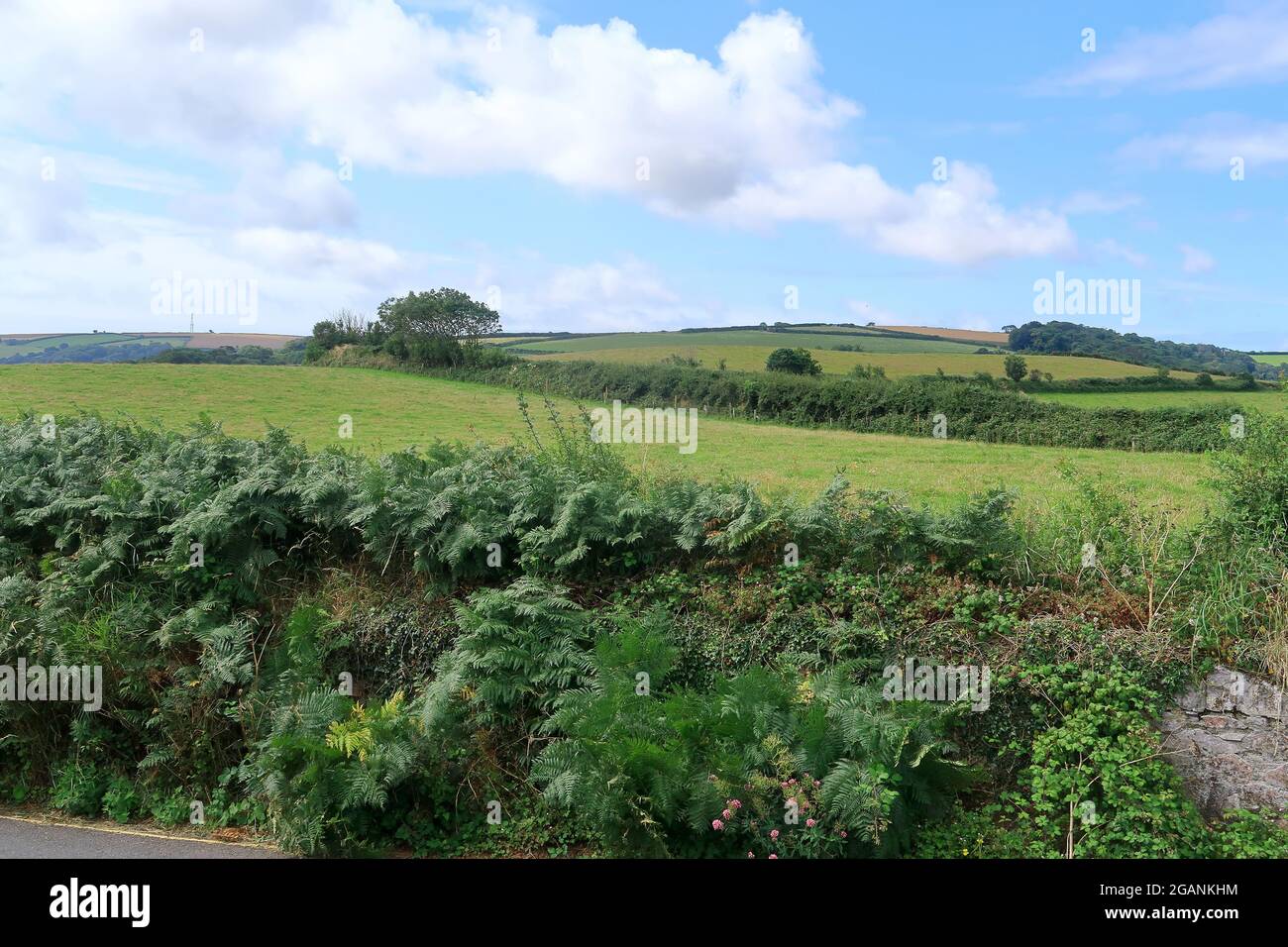 A view of the beautiful countryside around Slapton in South Devon Stock ...