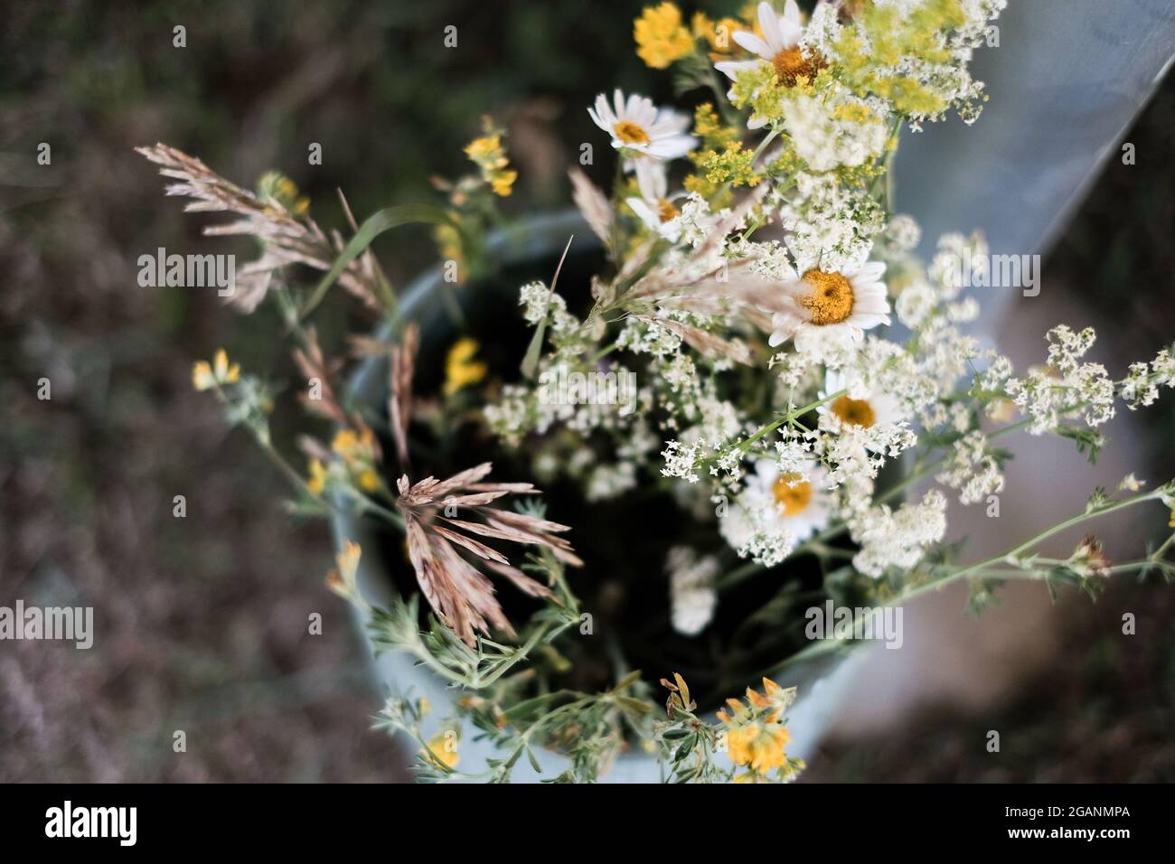 Natural spiritual decoration setting for relaxing mood Stock Photo - Alamy