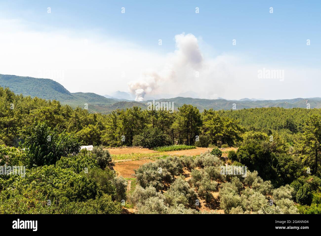 Smoke from a forest fire rising over Marmaris resort town of Turkey on ...