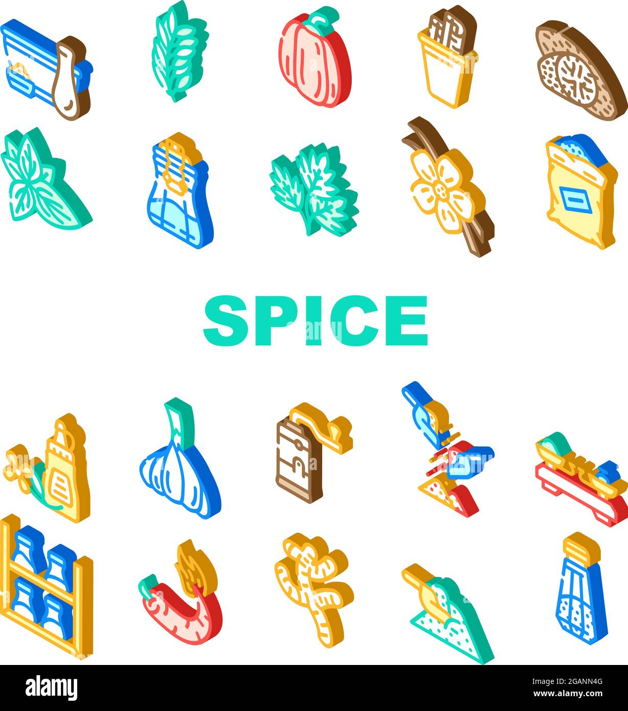 Spice Vegetable Food Collection Icons Set Vector Stock Vector Image ...