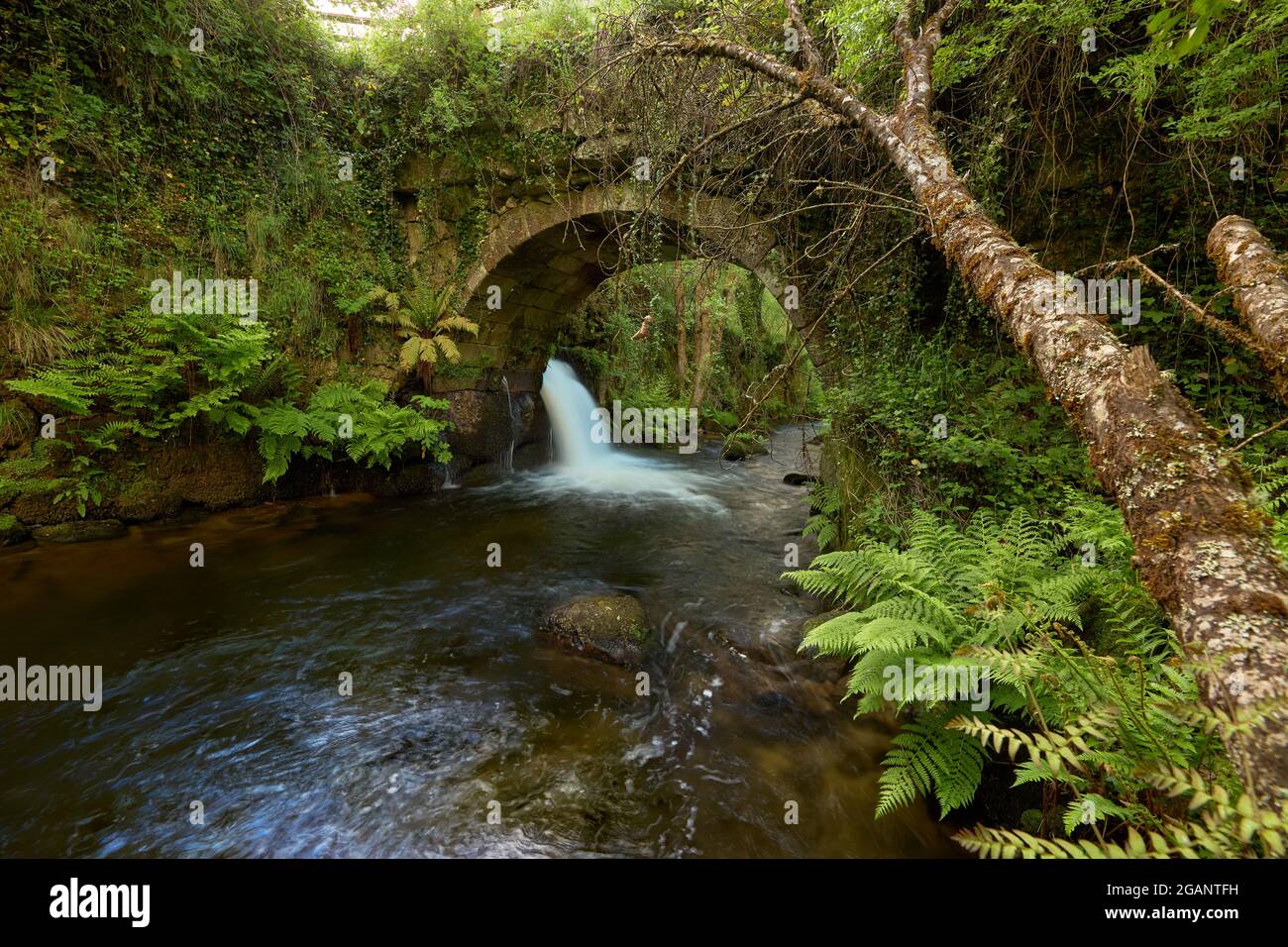 O peilan hi-res stock photography and images - Alamy