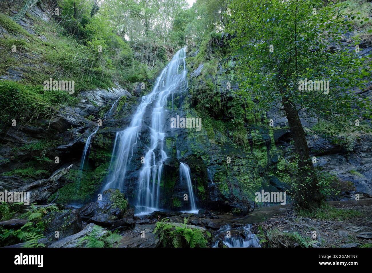 Waterfall in a forest in the Galicia area formed by the Iso river Stock ...