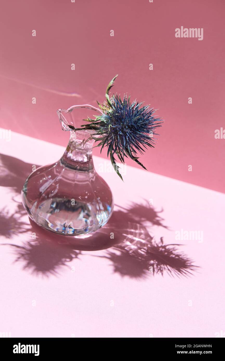 Shadow flowers hi-res stock photography and images - Alamy