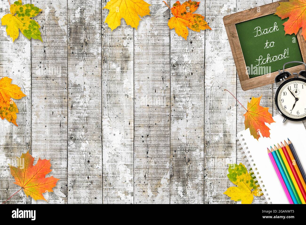 Back to school. Autumn template background with college tools props ...