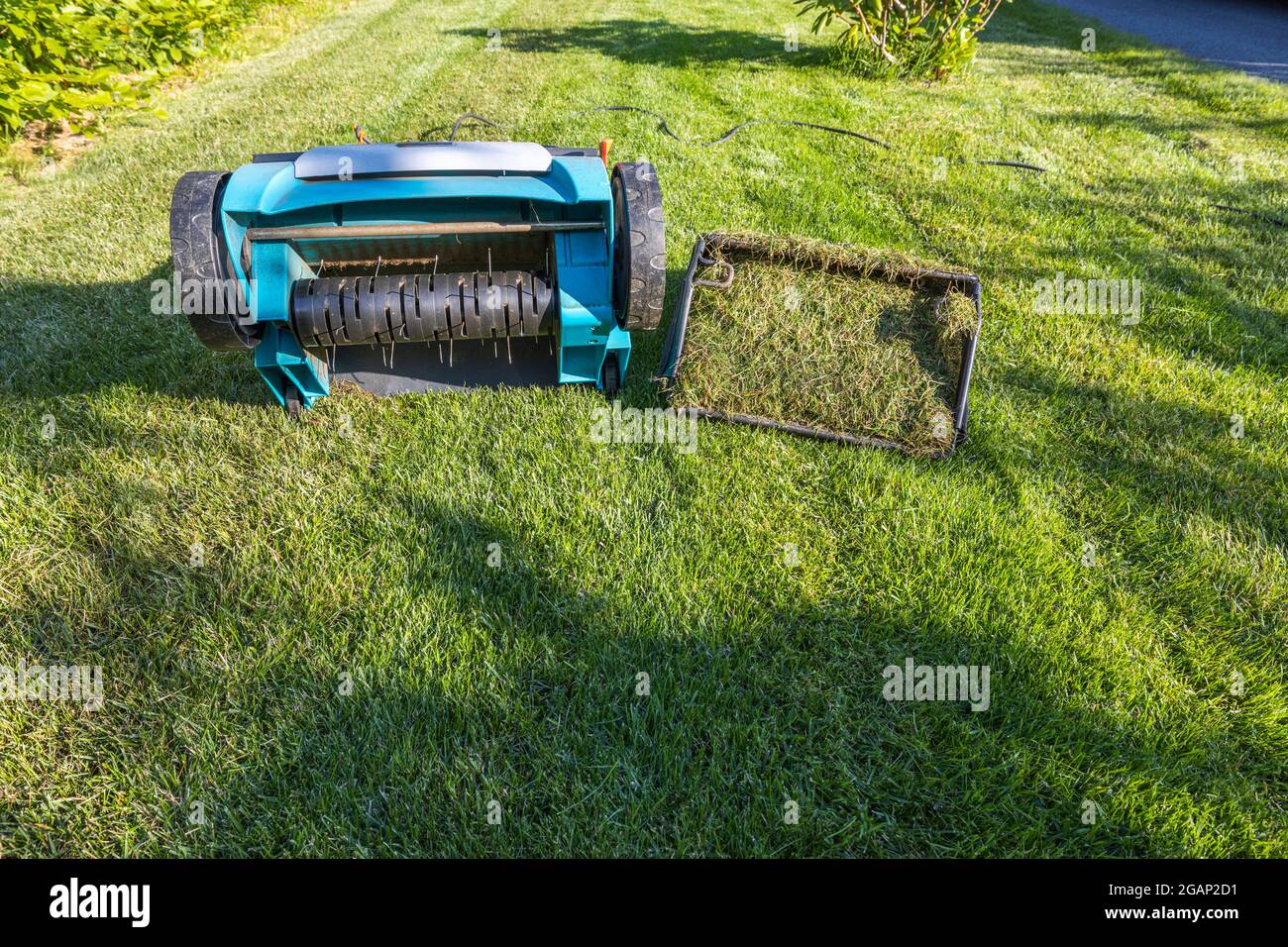 View of a summer lawn with an electric aerator with a basket of mown ...