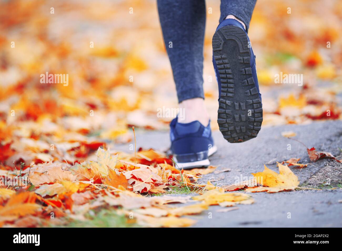 Sports woman legs in running movement Stock Photo - Alamy