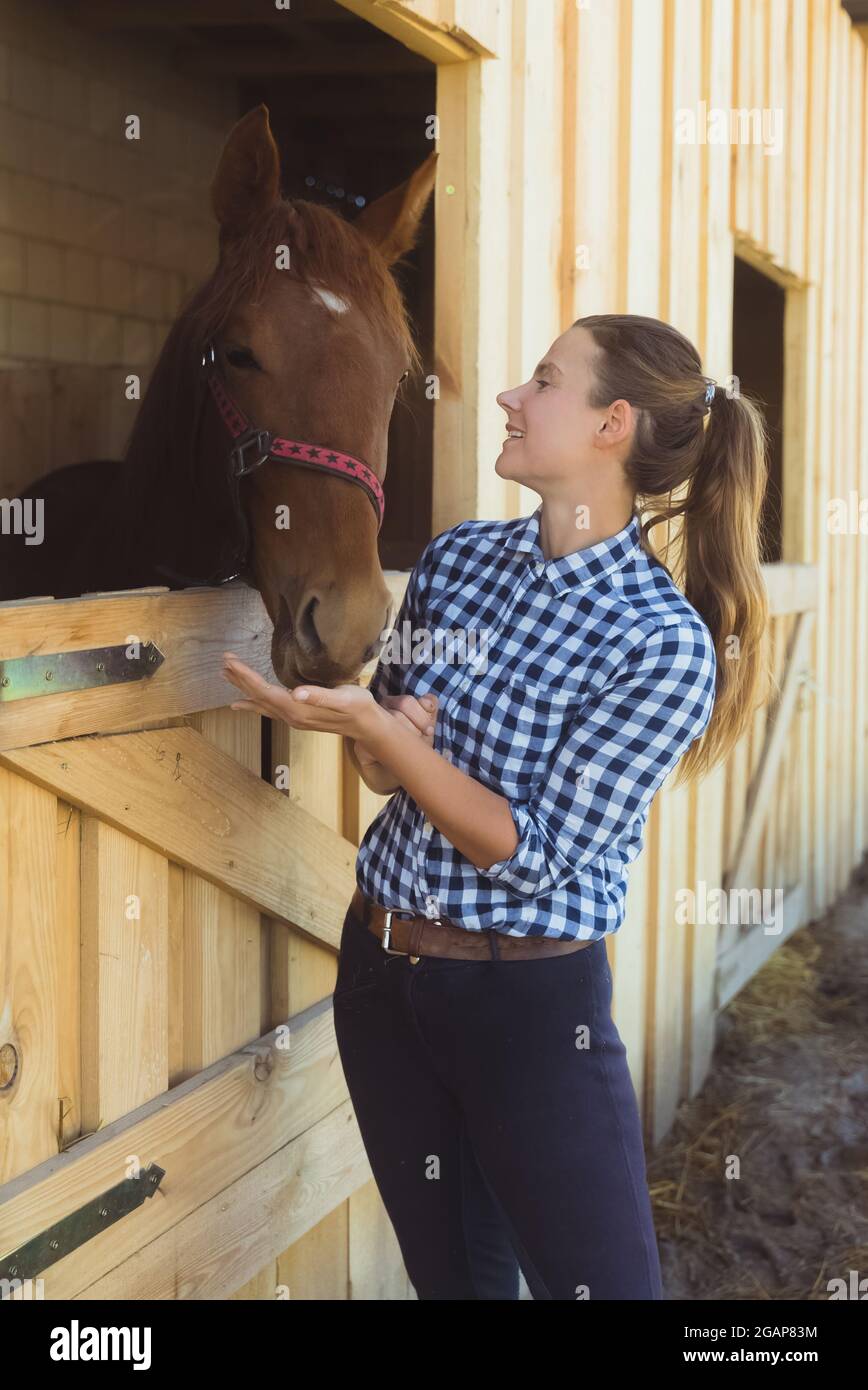 Female horse owner standing at the horse stable embracing a dark bay ...