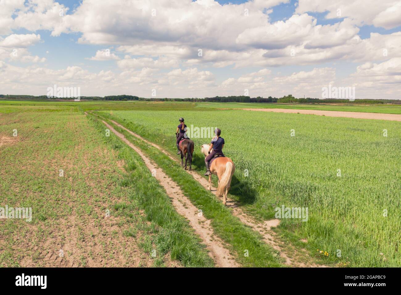 Two horse riders on a Flaxen horse and a Dark Bay Horse moving across ...