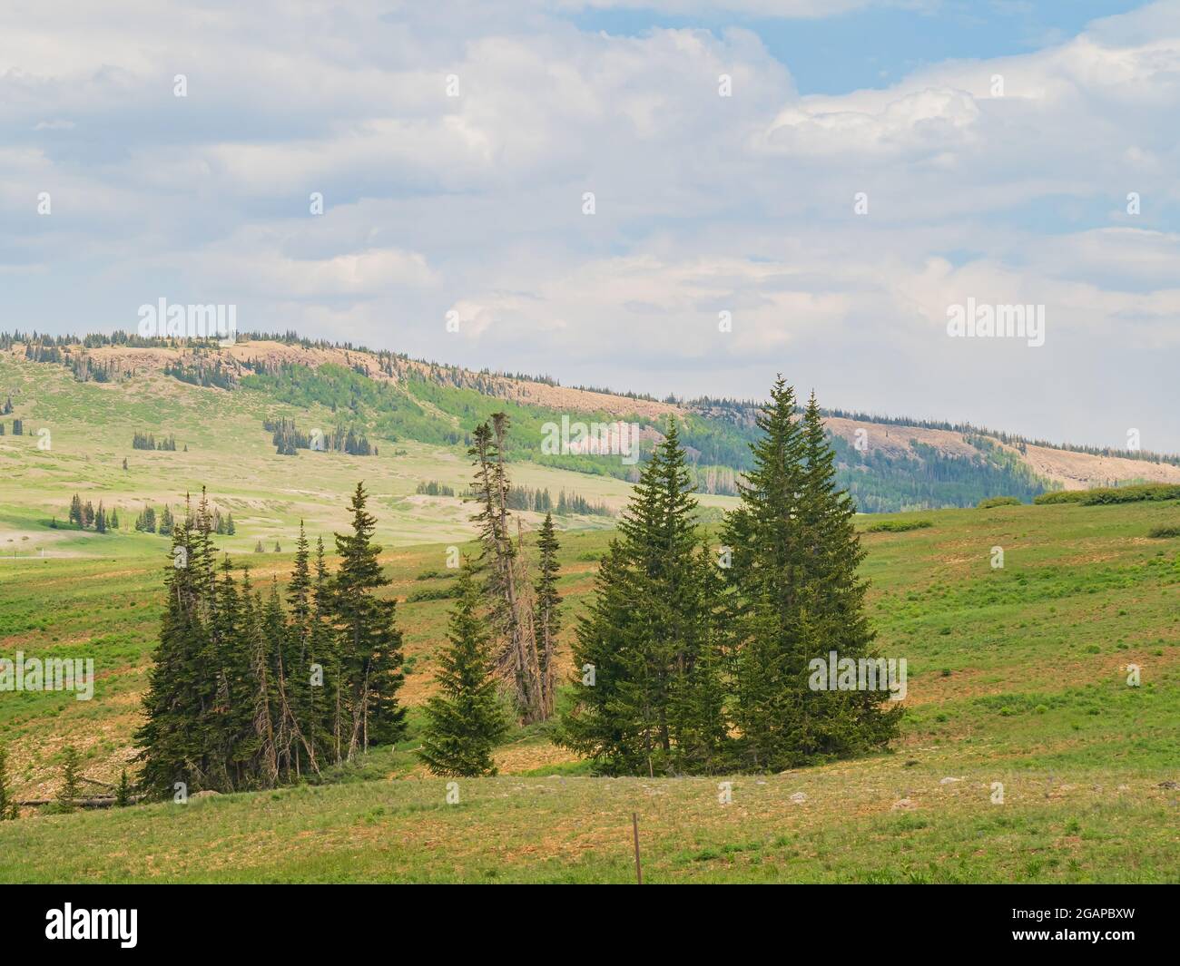Sunny view of The Rattlesnake Creek Trail at Utah Stock Photo - Alamy