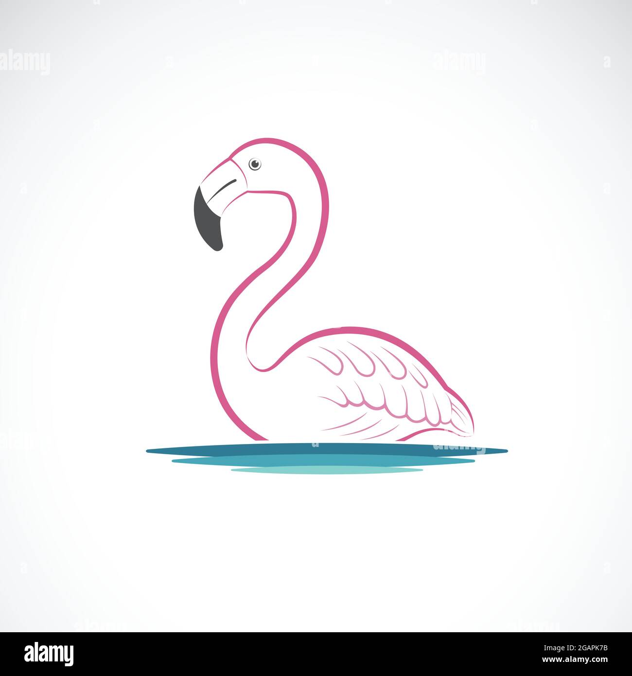 Vector of flamingo design on white background. Wild Animals. Birds ...