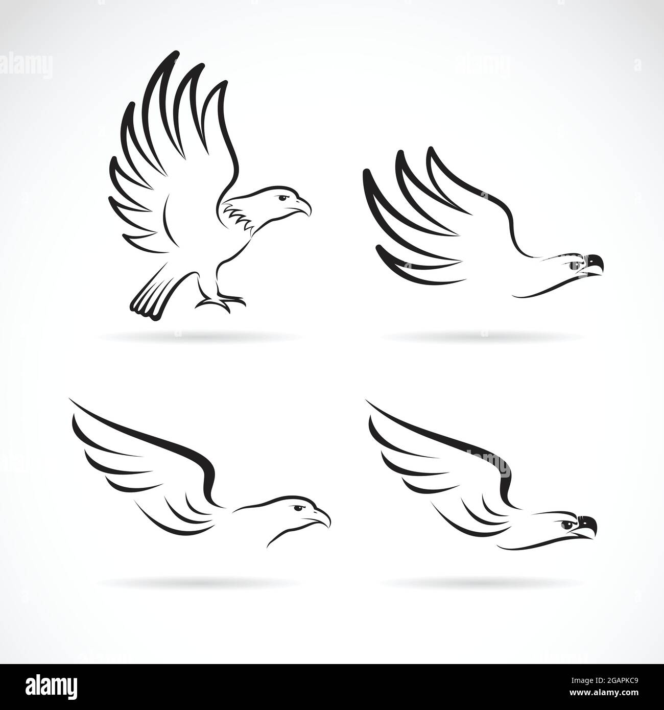 Vector image of an eagles design on white background. Easy editable ...