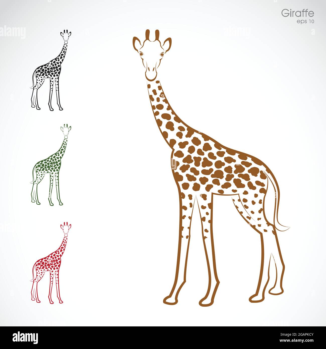 Vector image of an giraffe on a white background. Easy editable layered ...