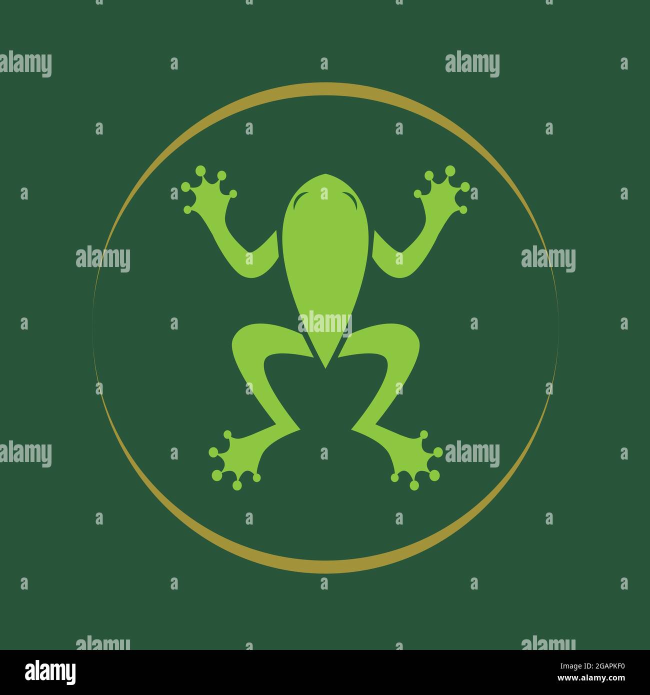 Vector image of a frog . Easy editable layered vector illustration ...