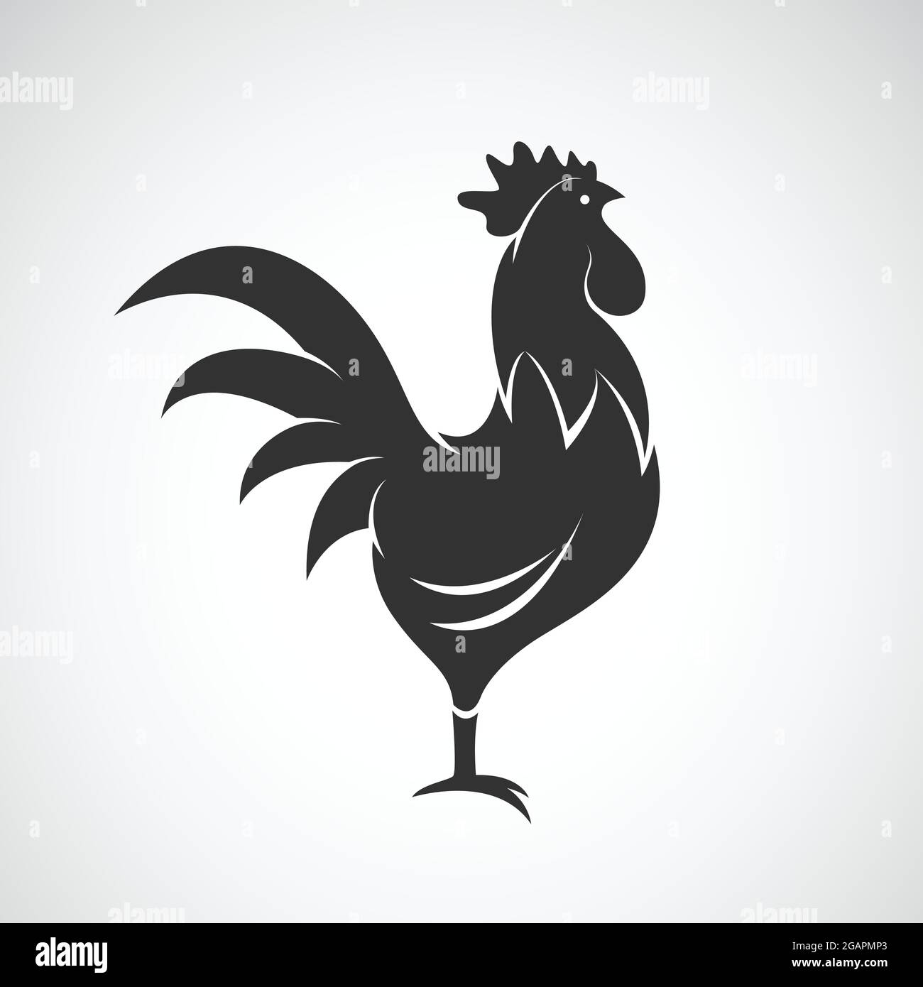 Vector image of an cock on white background. Easy editable layered ...