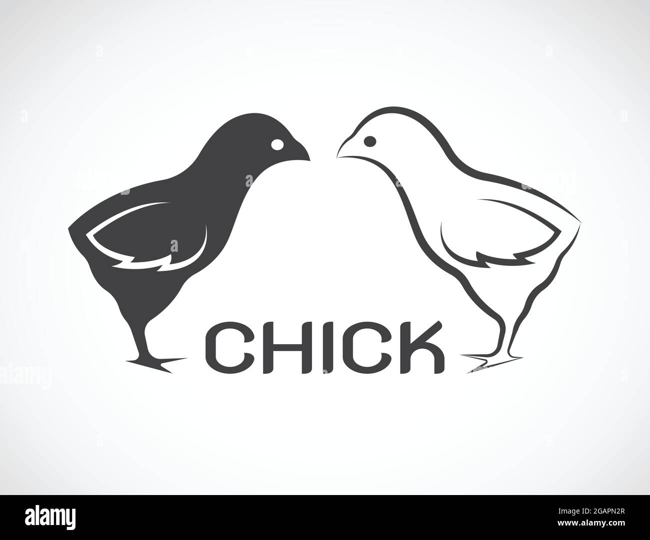 Vector image of an chick design on white background. Easy editable ...