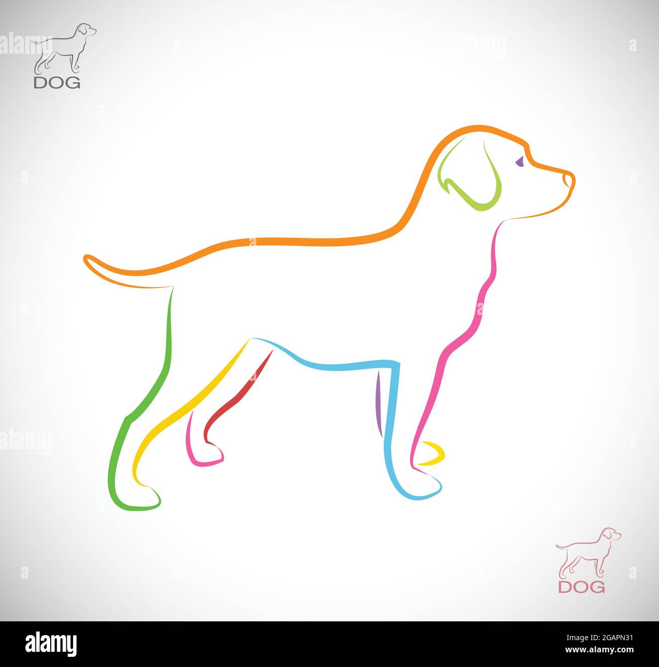 Vector image of an dog labrador on white background. Easy editable ...